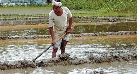 Water Becomes India Agriculture’s Biggest Growth Constraint - BW ...