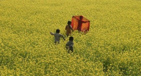 How Modi Government’s National Mission On Sustainable Agriculture Is ...