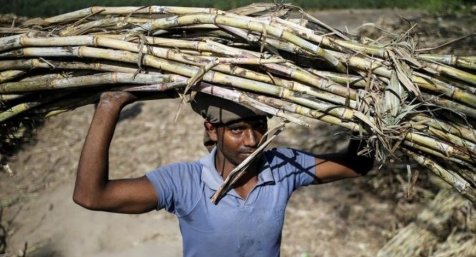 Sterling & Wilson Renewable Raises FY26 Order Inflow Guidance To Over ...