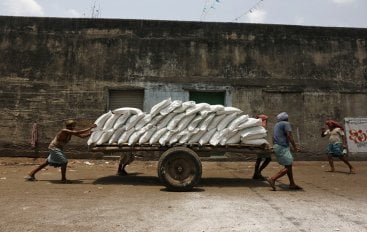 Small Sugar Mills Struggle With High Costs; MSP Hike Crucial: Ind-Ra ...