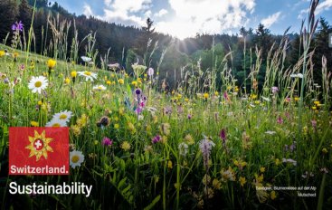 Switzerland’s sustainable tourism on World Environment Day - BW Hotelier