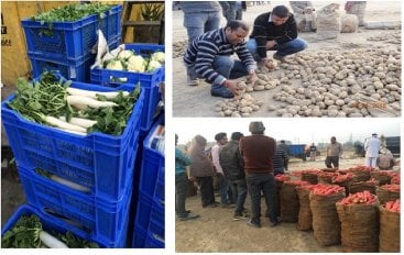 Delhi Kisan Mandi- A game changer - BW Businessworld