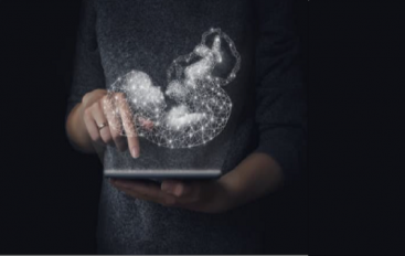 Embryology – A Growing Career Path - BW Education
