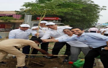 Marengo Asia Healthcare Pledges To Plant 50,000 trees Creating An ...
