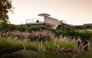 Game into the wild - BW Hotelier