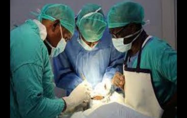 Researchers Find Mechanism That Minimises Liver Injury During ...