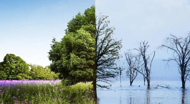 Climate As Capability: India’s Emerging Climate Strategy - BW Businessworld