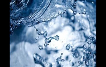 Russia’s Gorji Vita Brings Pure Caucasus Water to India - BW Businessworld