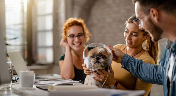 Pet Benefits Over-Power Traditional Benefits At Work - BW People