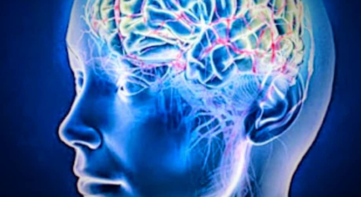 Your Brain Is Screaming, Sleep! Why Seven Hours Of Sleep Could Save You ...