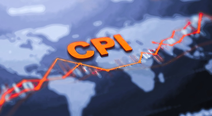 India Sees Divergent CPI, WPI Inflation Amid Crude Surge: India Ratings ...