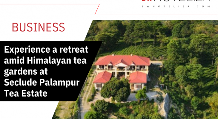 Experience a retreat amid Himalayan tea gardens at Seclude Palampur Tea ...