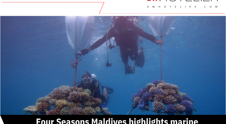 Four Seasons Maldives highlights marine conservation on World ...