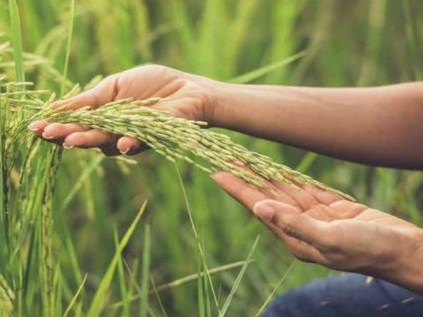 Coromandel Gets CCI Nod For Rs 820 Crore Acquisition Of Majority Stake ...