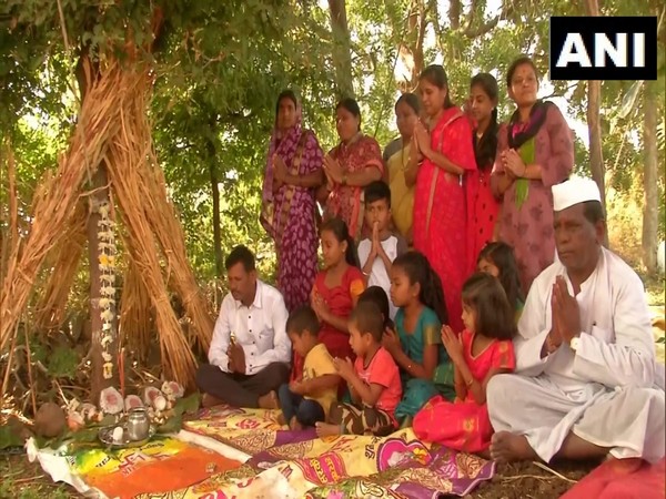Yellu Amavasya celebrated in Karnataka's Kalaburagi with religious ...