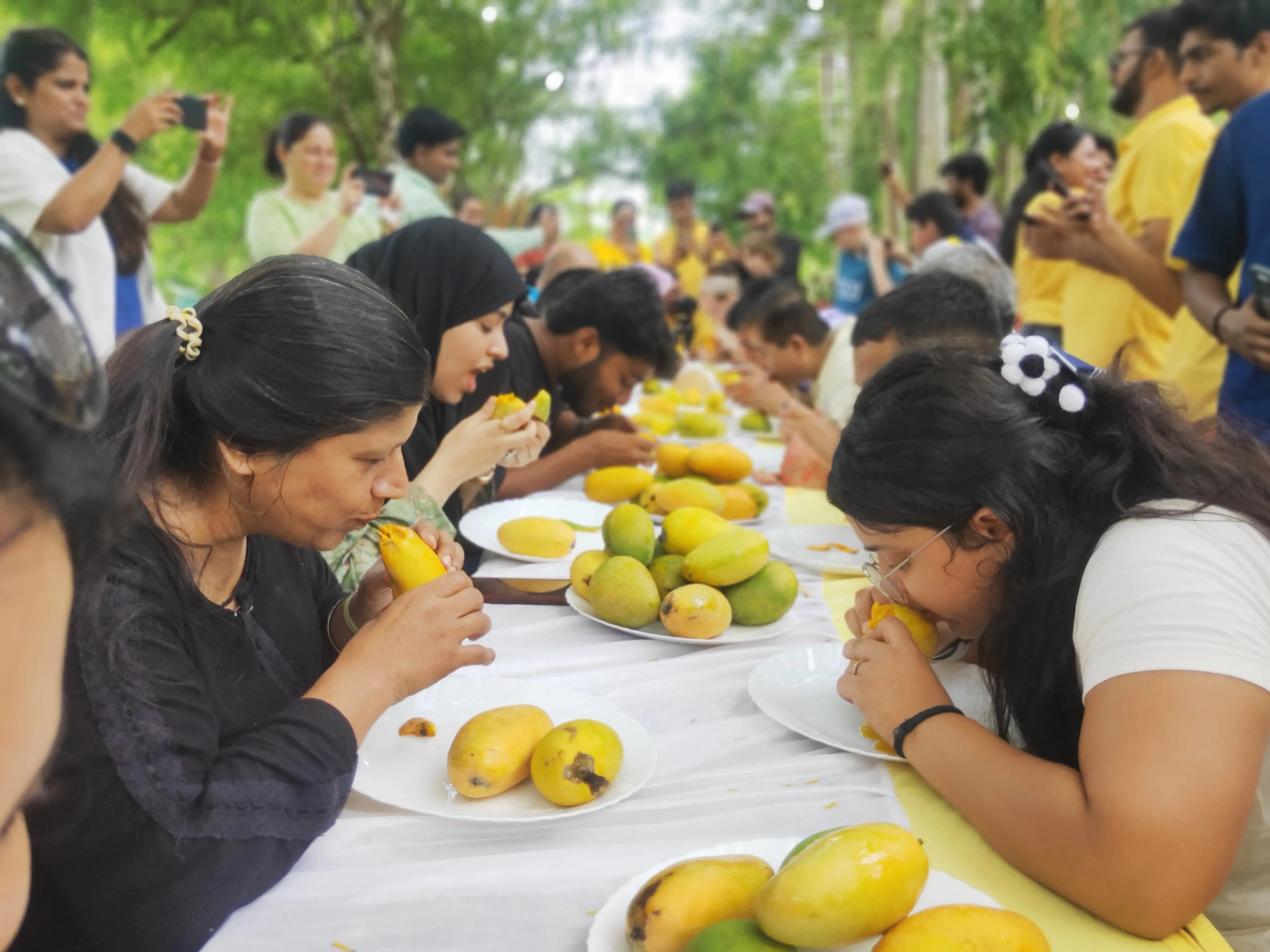 India’s Mango Obsession: From Orchards To Outlets, Celebrating The King ...