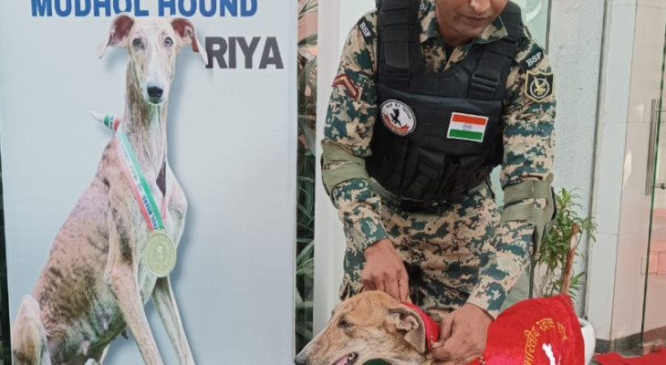 Riya the showstopper tracker dog of BSF K-9 unit brings fame for all ...