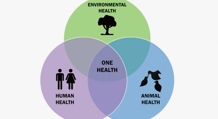 One World…One Health…One Planet - BW Healthcare World
