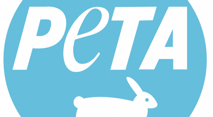 PETA and Palghar Police stop illegal horse racing of Dahanu road - BW ...