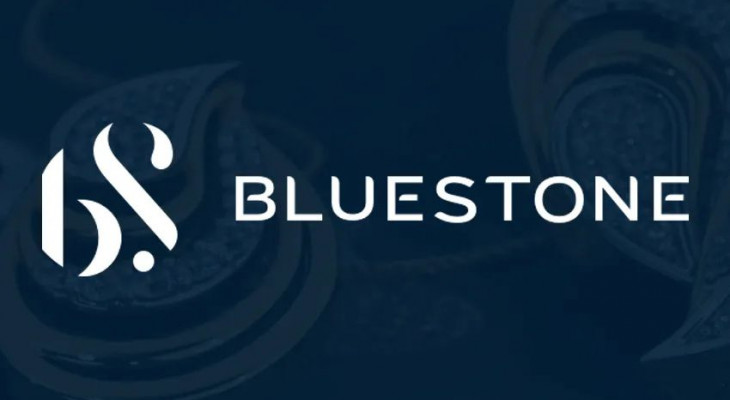 BlueStone’s Ad Spend Climbs To Rs 124.23 Crore In FY24 - BW Marketing World