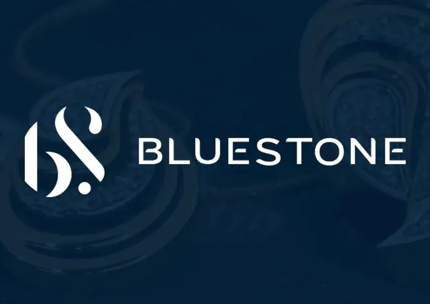 BlueStone’s Ad Spend Climbs To Rs 124.23 Crore In FY24 - BW Marketing World