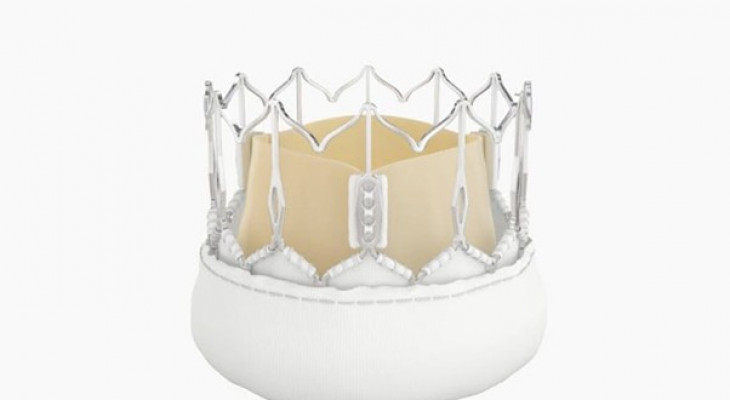 India Shines At London Valves 2024: Meril's Groundbreaking Leap In ...