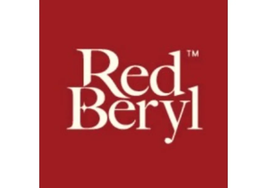 RedBeryl Unveils India’s First AI-powered Lifestyle Concierge Platform ...