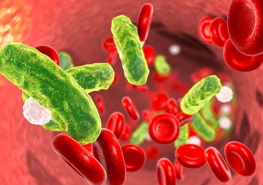 NephroPlus Reaches 500 Dialysis Clinics Milestone Globally - BW ...