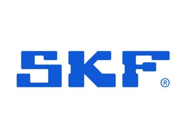 SKF India To Invest Rs 1,460 Cr In Automotive, Industrial By 2030 - BW ...