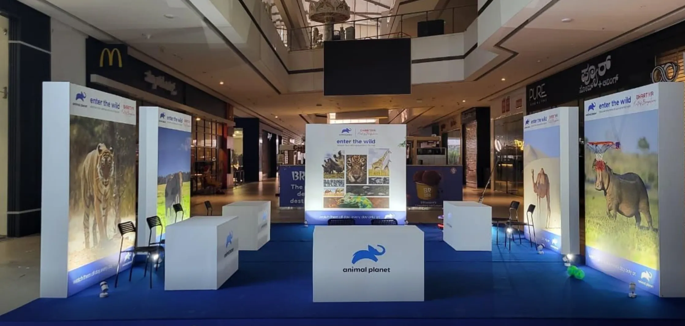 Animal Planet Lunches ‘Enter The Wild’ Immersive Family Activation In ...