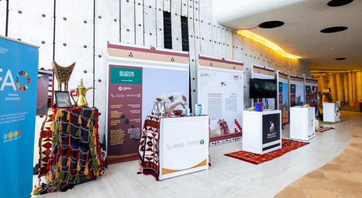 Ministry Of Culture Partakes In Saudi Exhibition For UN International ...