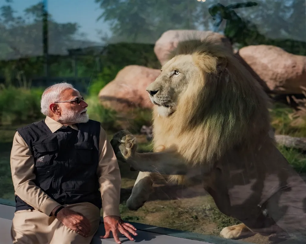 LIC Appoints R Doraiswamy As CEO And MD Under New Leadership Structure ...