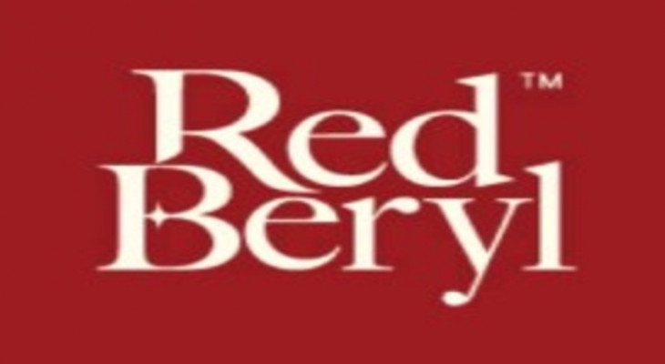 RedBeryl Unveils #MakeItBLUE Campaign For India Vs Pakistan T20 World ...