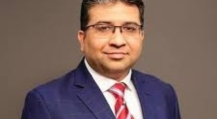 Blue Energy Motors Appoints Anand Mimani As CEO Of EV & New Energy Business