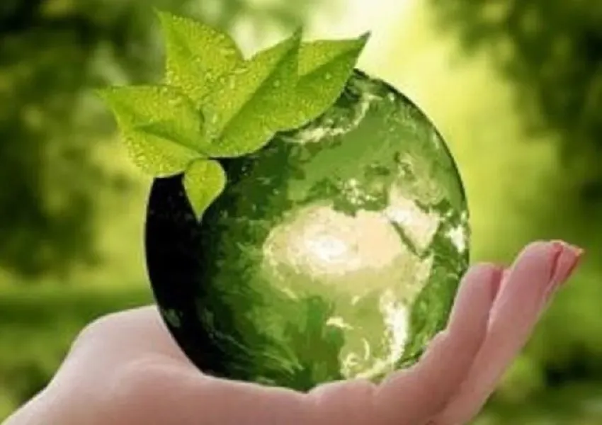 Healing The Planet Through Spiritual Practices - BW Wellbeing World