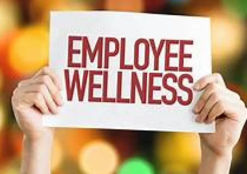 Workplace Wellbeing Programs: Best Practices For Supporting Employee ...