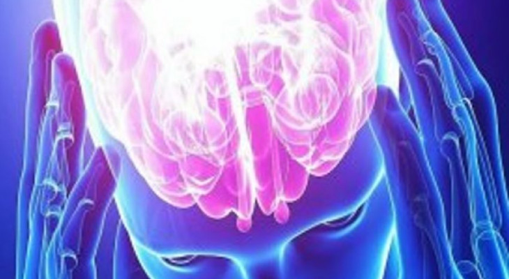 The Rise Of Neuro Wellness - BW Wellbeing World