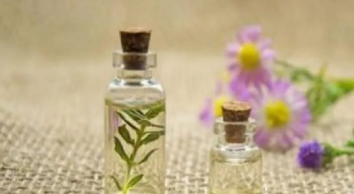 Essential Oils And Their Multiple Benefits - BW Wellbeing World