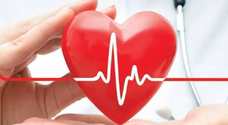 Crucial Factors About Peripheral Artery Disease And Its Link To Heart ...
