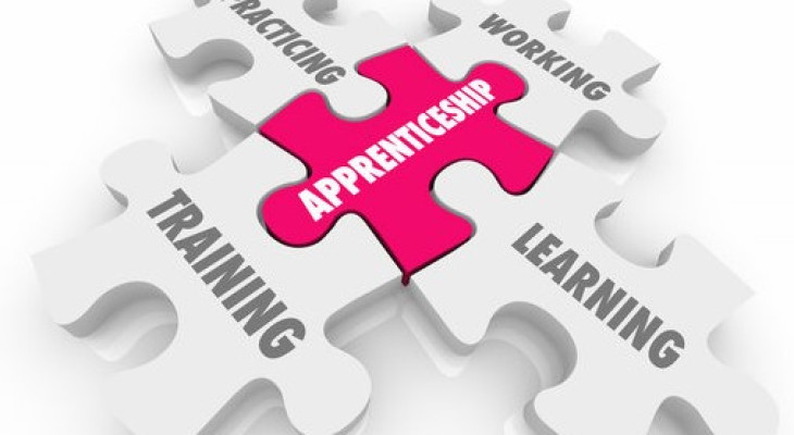 Ministry Of Skill Development Rolls Out Apprenticeship Overhaul After ...