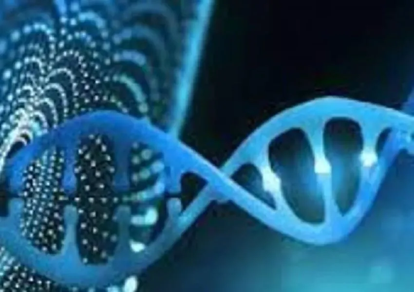 The Role Of Genetics In Mental Health - BW Wellbeing World