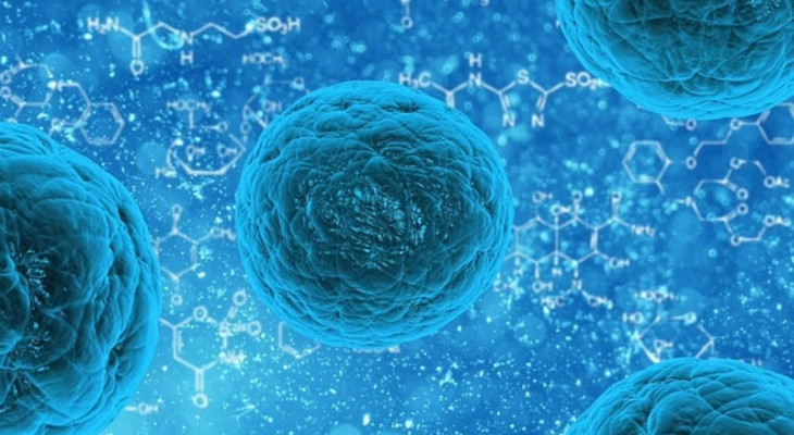 Breakthrough AI Research Offers New Hope In Fight Against Antimicrobial ...