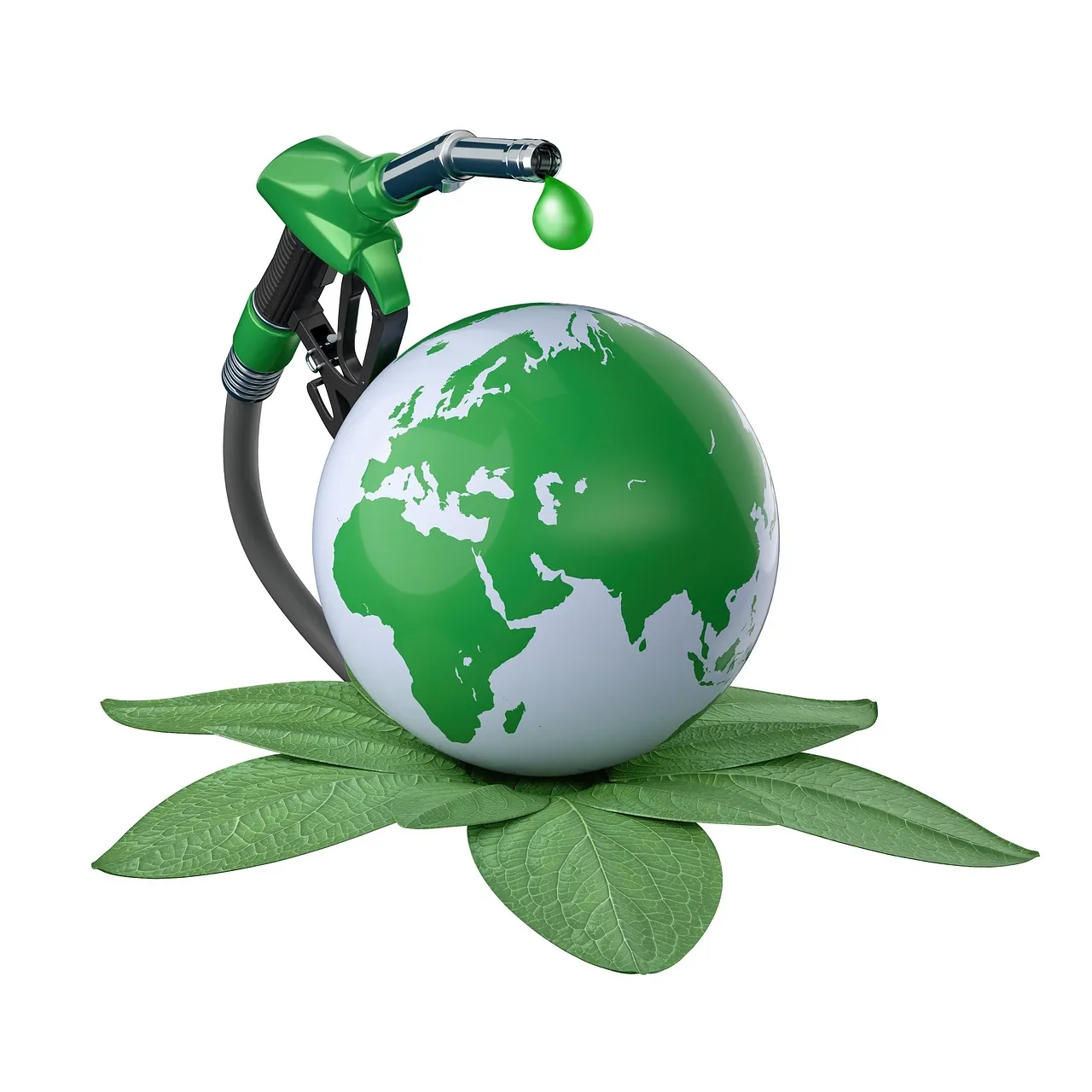 Haryana Unveils 240-TPD Biomass Plant To Turn Crop Waste Into Clean ...
