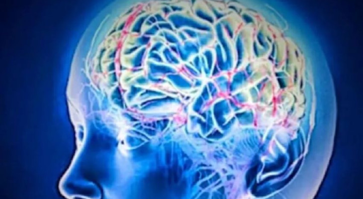 Neuroscience Meets Ancient Wisdom On Consciousness - BW Wellbeing World