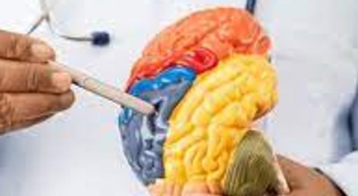 Brain-Related Diseases Emerging As A Global Health Crisis - BW ...