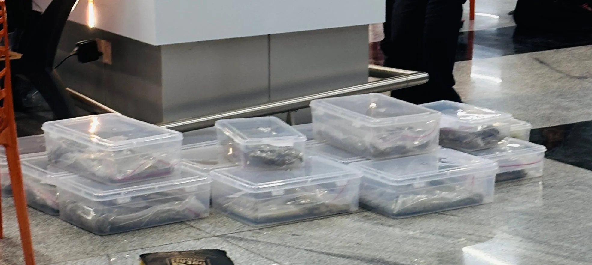 CISF, DRI seize cannabis worth Rs. 17.5 crores from Surat airport - BW ...