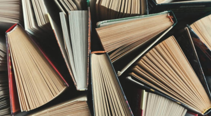 Literary Exchange Highlights India-Israel Cultural Engagement - BW ...