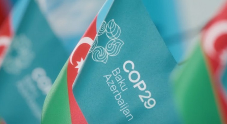 COP29: India Advocates For Unrestricted Technology Transfer, Enhanced ...