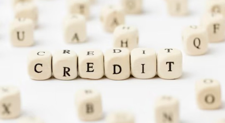 India’s Small Business Credit Draws Grow In First-time Borrowers ...