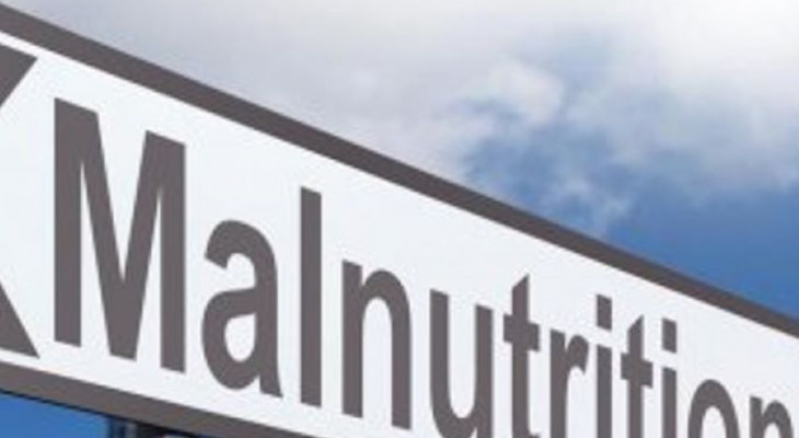 Why Malnutrition Remains A Silent Crisis Endangering Generations - BW ...